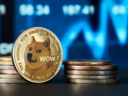 도지코인, 24시간 동안 609억개 거래... 강세 신호일까,,$DOGE | 한국경제TV 와우글로벌