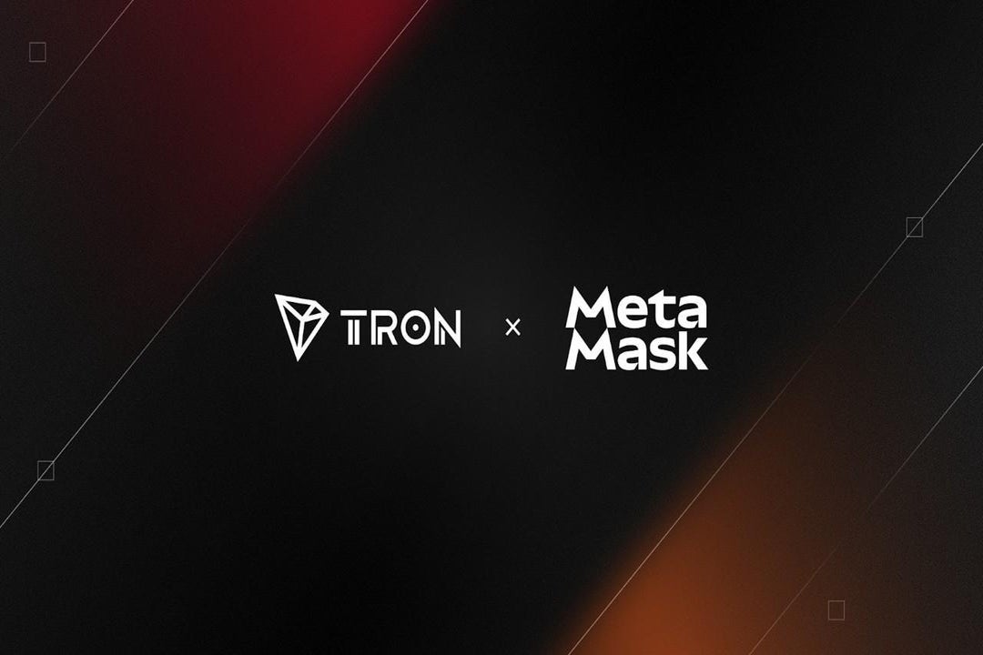 TRON DAO Co-Hosts MetaMask's Builder Night at DevConnect Buenos Aires to Strengthen Global ...