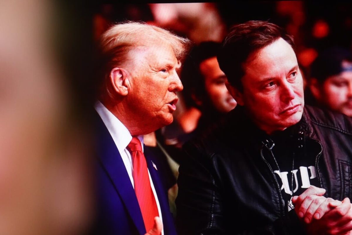 Trump Says He And Musk 'Get Along Well,' Credits Him For Help During ...