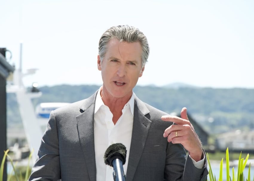 Gavin Newsom Says Elon Musk's xAI Is 'Vile,' Urges California Attorney ...